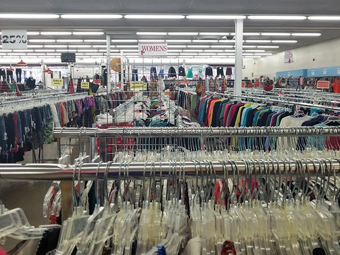 A rainbow of women's clothing creates a textile tapestry where vintage treasures hide among everyday essentials.