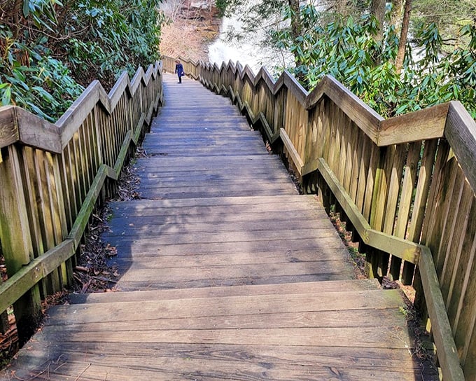 These wooden steps aren't just a path—they're a portal. Each one brings you closer to the thunderous symphony waiting at the bottom.