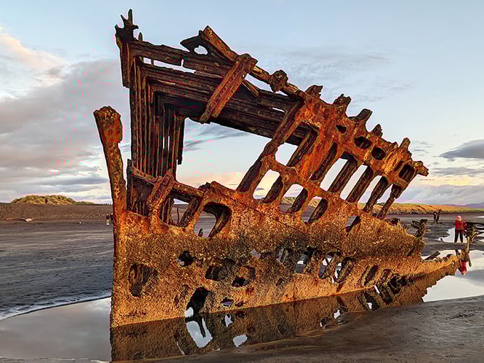 The Peter Iredale shipwreck stands like a rusty skeleton against the sunset, nature's haunting sculpture gallery that changes with every tide.