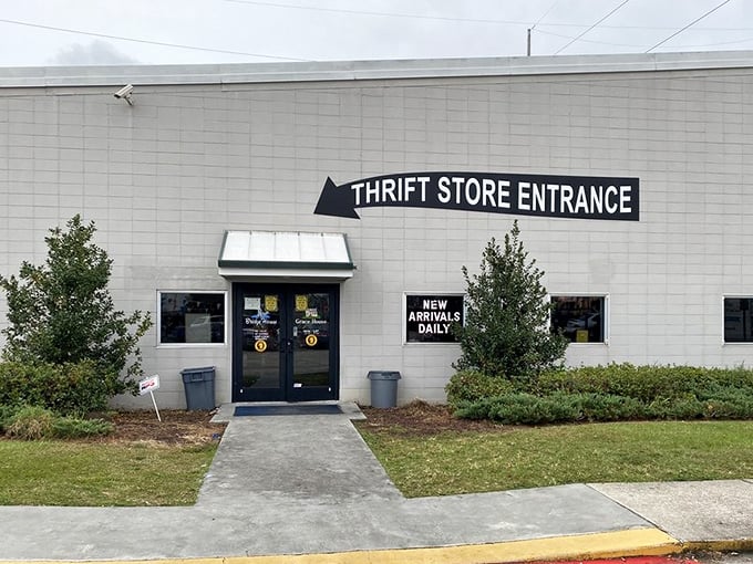 "Thrift Store Entrance" – three words that promise adventure to the dedicated bargain hunter. New arrivals daily? Count me in!