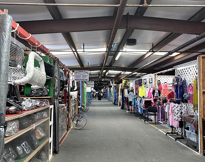 Indoor comfort meets outdoor adventure in aisles packed tighter than your grandmother's attic treasures.