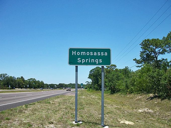 Homosassa Springs: Classic Florida small-town roads where the traffic lights are just suggestions. The manatees aren't the only ones moving slowly here.