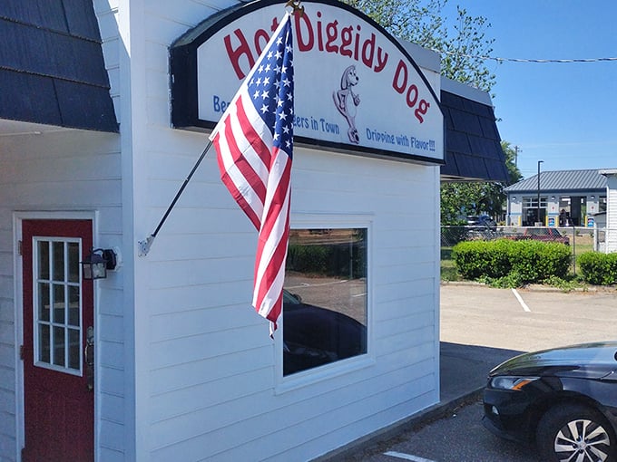 Hot Diggidy Dog's patriotic spirit shines as bright as their commitment to serving stellar franks.