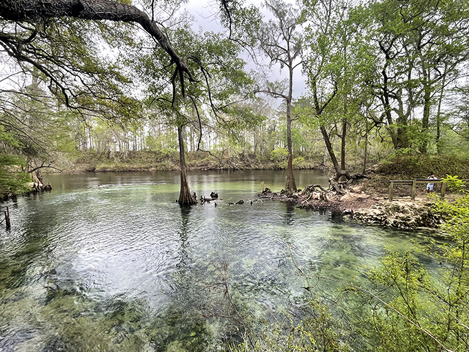 Nature's jewel box! Madison Blue Spring's waters are so clear you could spot a contact lens at the bottom—not that you should wear them swimming.
