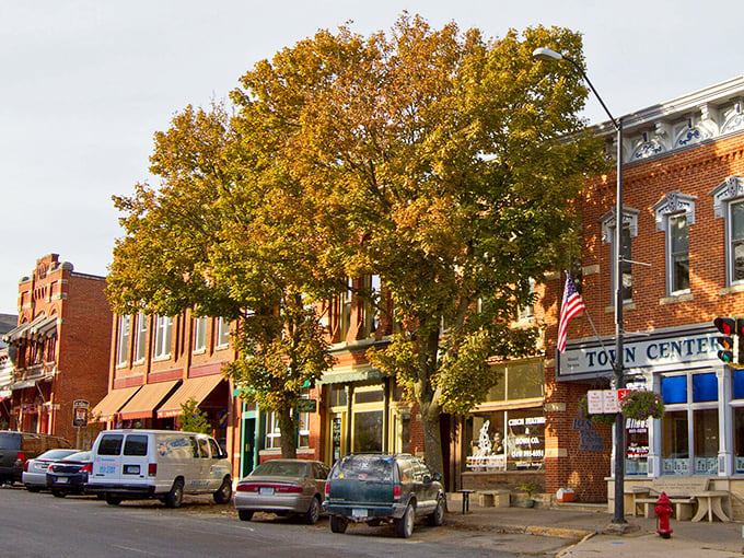 Fall colors frame the historic buildings of Mount Vernon's main street, where small businesses thrive in this college town.
