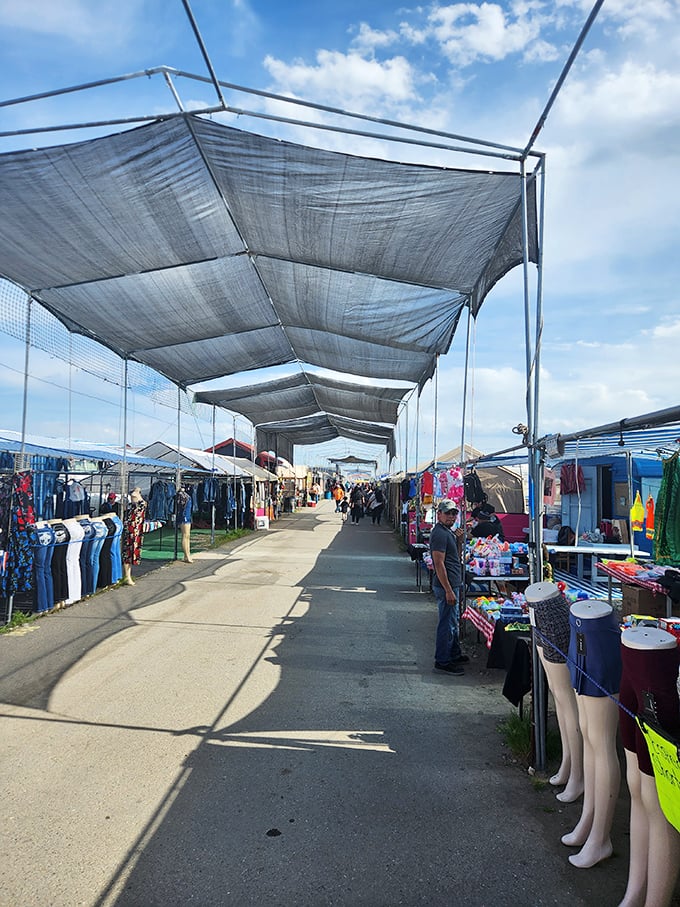 Pasco's covered market stretches into the distance, a colorful corridor of possibilities under desert skies.