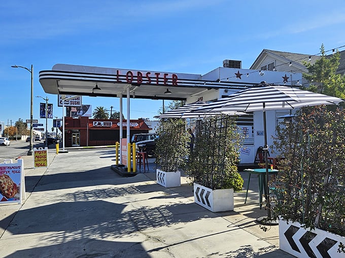Who says you can't find world-class lobster rolls at a gas station? Sometimes genius hides in plain sight.