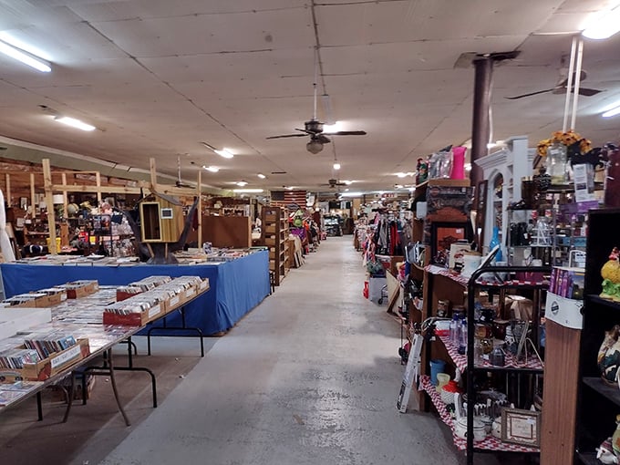 Endless aisles stretch like a choose-your-own-adventure book, each turn revealing another chapter of discovery.