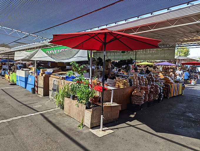 Colorful displays stretch endlessly under San Jose's perfect blue skies at this legendary market.