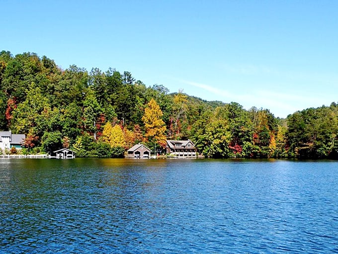 Lake views near Batesville offer a mirror-perfect reflection of Georgia's natural beauty – Mother Nature showing off again.