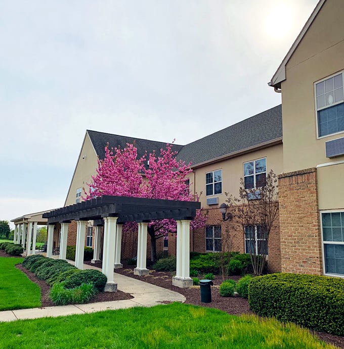 Spring brings this entrance to life with vibrant pink blossoms. Nature's way of decorating Country Meadows' already charming facade.