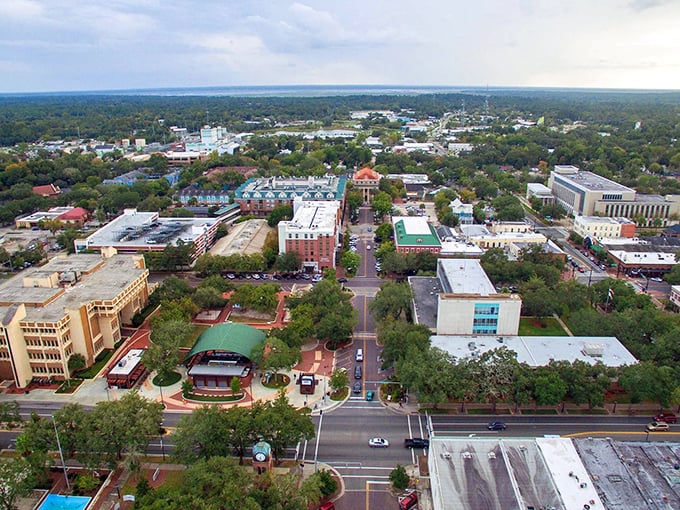 The Swamp, as locals call it, represents Gainesville's perfect blend—university town energy with retirement-friendly living costs.
