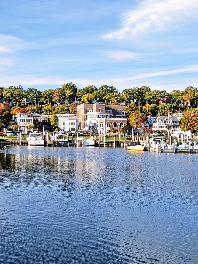 The marina sits peaceful and pretty, where fancy yachts and simple sailboats share the same calm water.