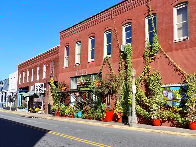 Downtown charm meets small-town soul - these storefronts have weathered decades with grace and character.