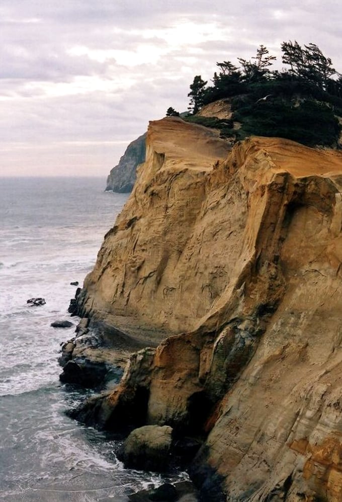Those golden cliffs glow like butter on warm toast. Nature's comfort food for the eyes.