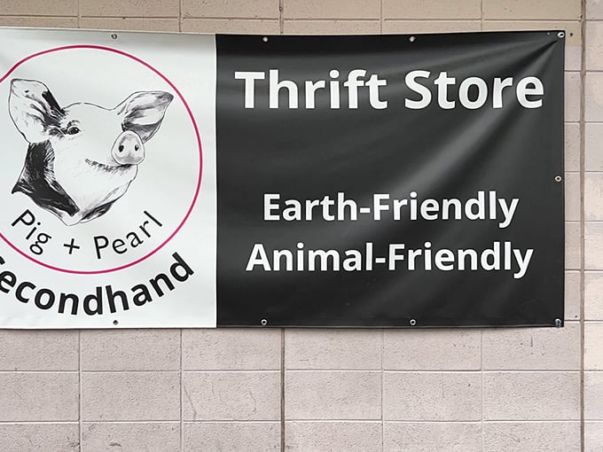 Boulder's secondhand scene gets a boost from this animal-friendly store where sustainability meets serious style.