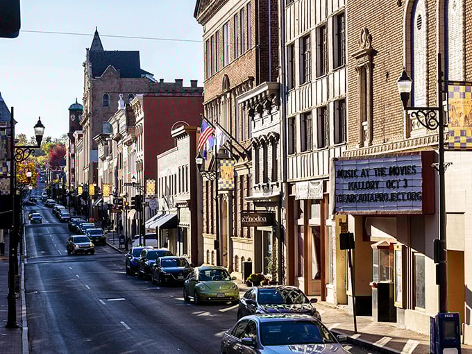 Victorian elegance lines these walkable streets like a living museum that actually welcomes real people.