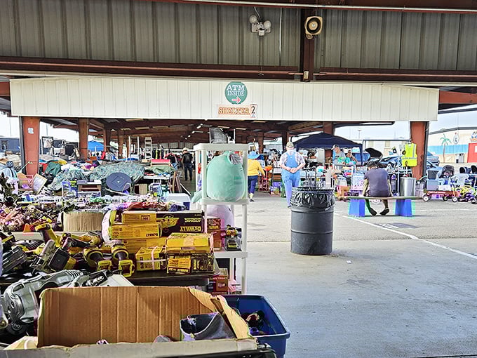 These covered pavilions protect both shoppers and merchandise, making treasure hunting comfortable year-round in Ohio.