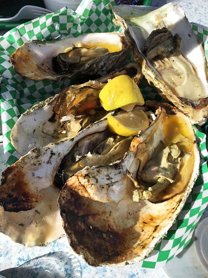 BBQ oysters on the half shell – nature's perfect serving dish. That squeeze of lemon isn't just garnish, it's the conductor of this briny symphony.
