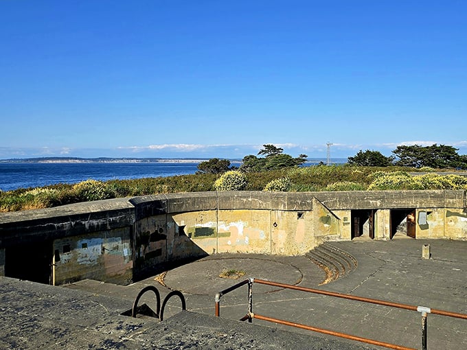 These abandoned military bunkers at Fort Worden offer history with a view—concrete relics where you can contemplate both world wars and whale watching in the same afternoon.