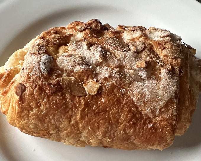 This bear claw isn't apologizing for its decadence. Golden, flaky, almond-studded, and dusted with powdered sugar—it's the breakfast of champions who've abandoned all restraint.