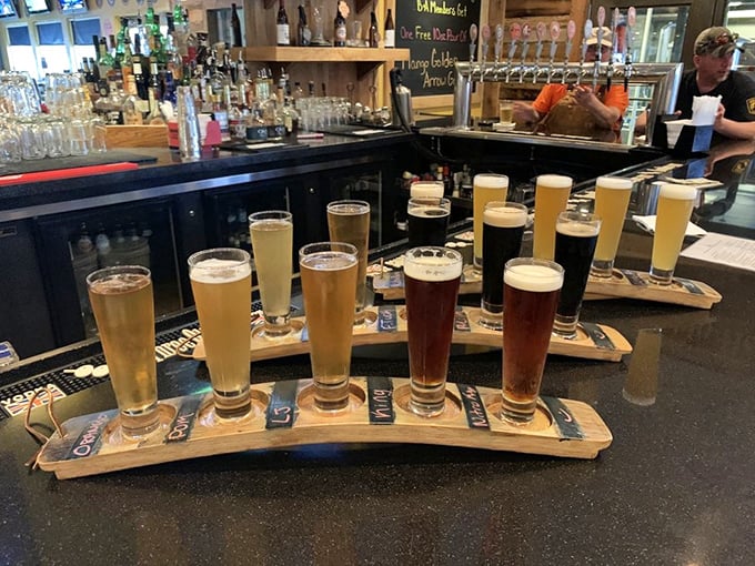 A wooden flight board carrying liquid stories—each glass a chapter in Robin Hood's brewing saga, from pale gold to midnight stout.