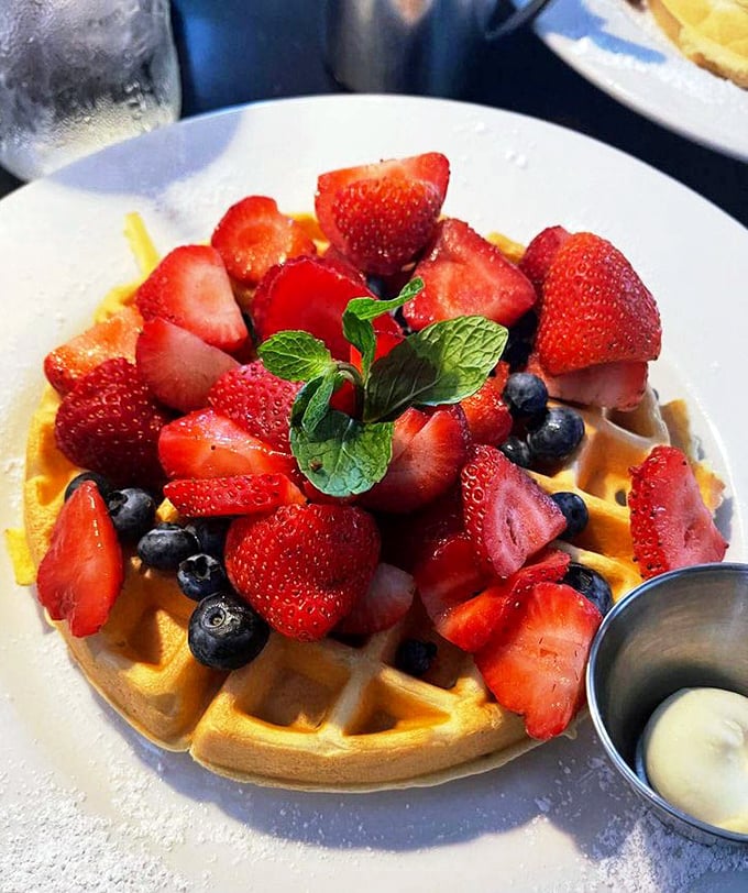 This Belgian waffle doesn't just have berries—it hosts a berry festival. The mint garnish isn't just pretty; it's the waffle's way of dressing for success.