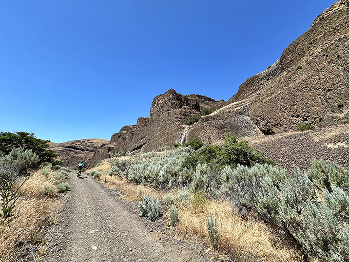 Trail therapy at its finest—where every turn reveals another postcard-worthy vista that no filter could improve.