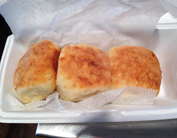 Three golden-topped biscuits nestled together like old friends. These aren't just baked goods—they're edible pillows of Southern comfort.