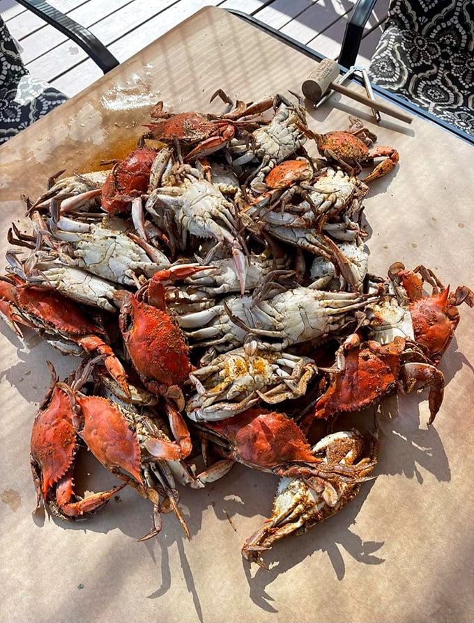 A mountain of blue crabs seasoned to perfection—proof that sometimes the messiest meals create the most memorable experiences.