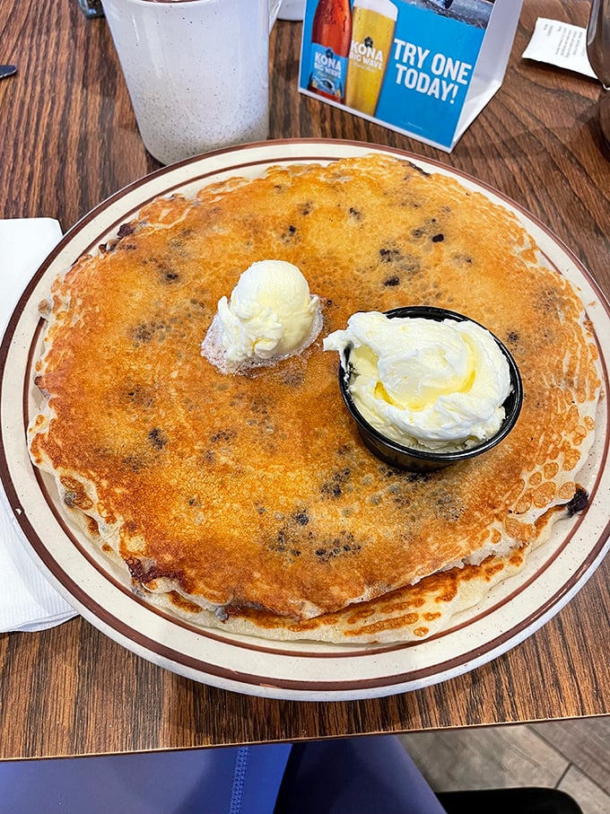These blueberry pancakes aren't just breakfast, they're an event—complete with a scoop of butter melting into those golden craters like a delicious sunrise.