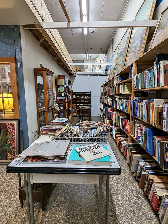 The book section – where literary treasures wait patiently on shelves, their stories doubled: one within their pages, another in their journey here.