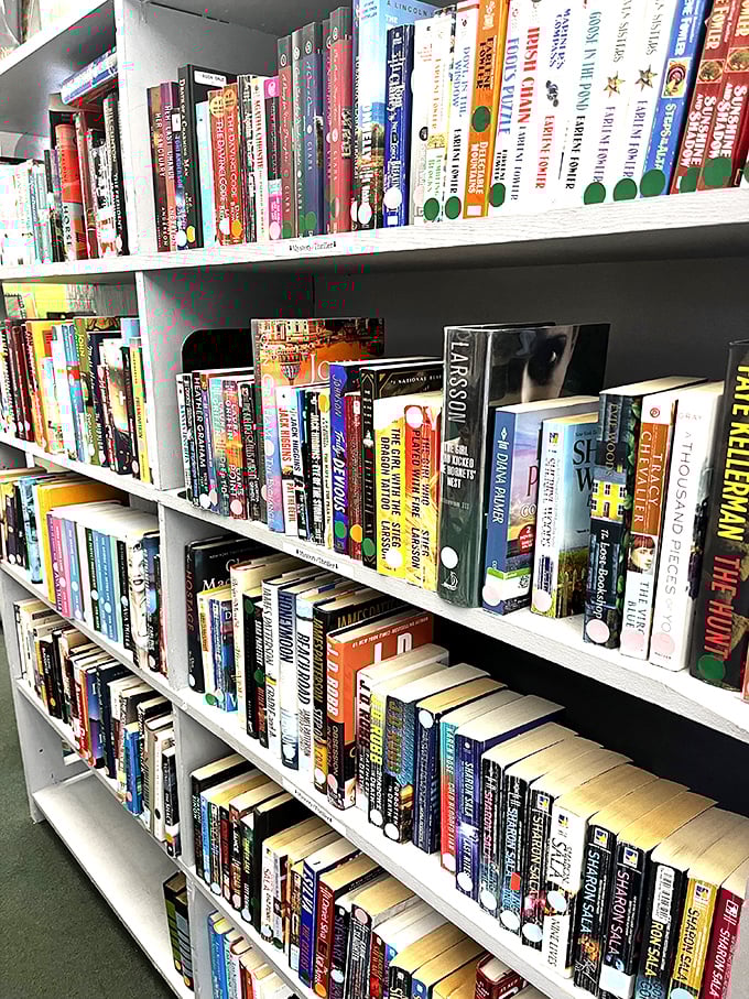 Bibliophiles beware—you might need to clear your schedule. These meticulously organized shelves house everything from bestsellers to forgotten classics.