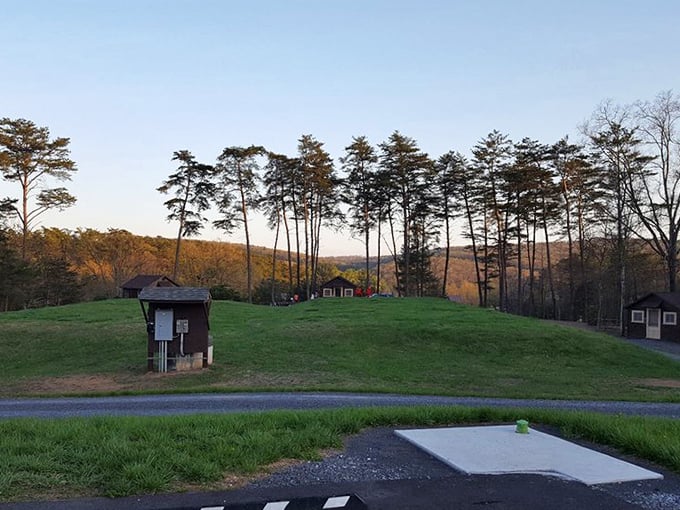 Golden hour transforms this hillside vista into a painting. Somewhere beyond those trees, everyday worries seem delightfully insignificant.