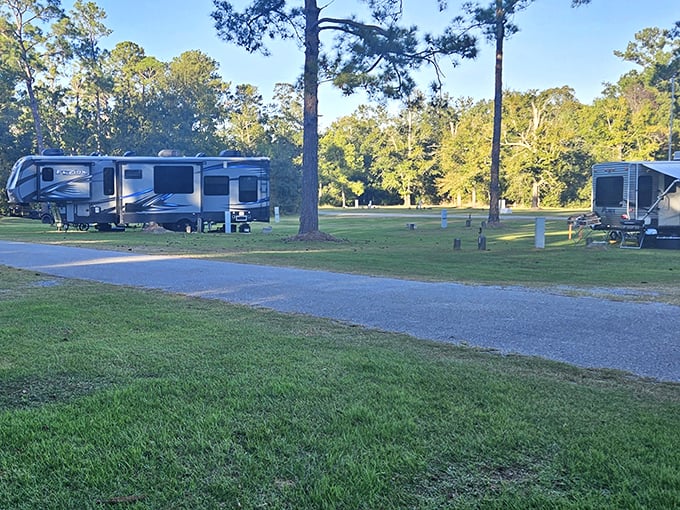 Camping nirvana where towering pines stand guard over peaceful RV sites. Nature's five-star accommodations without the stuffy concierge.