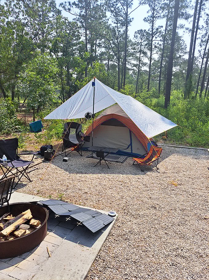 Camping nirvana achieved: A simple tent, fire ring, and tall pines overhead. No five-star hotel can compete with this million-star ceiling and soundtrack of whispering leaves.