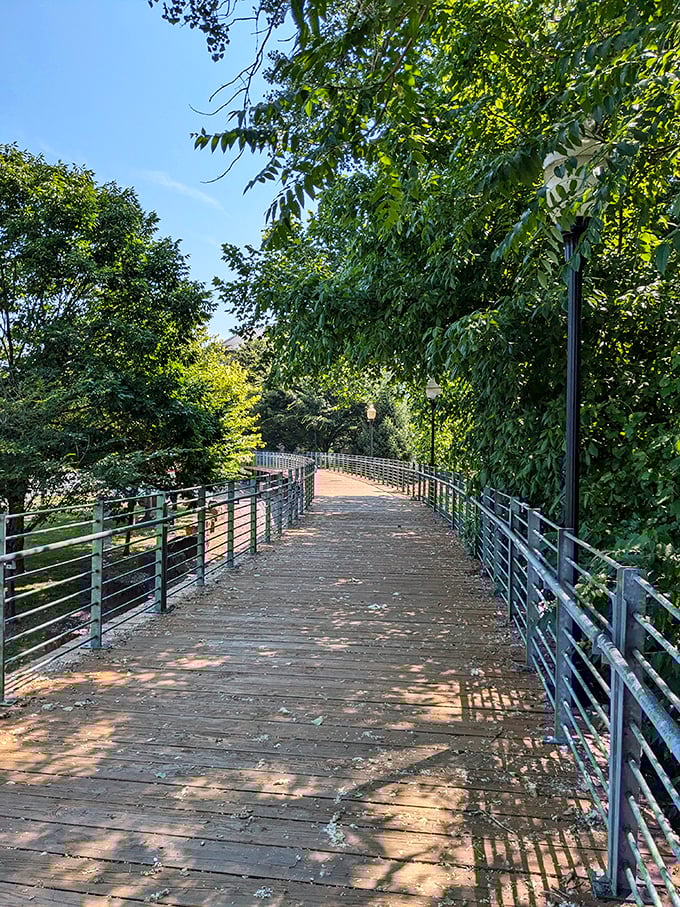 This wooden walkway through lush greenery isn't just a path—it's nature's hallway, complete with a canopy ceiling no interior designer could match.