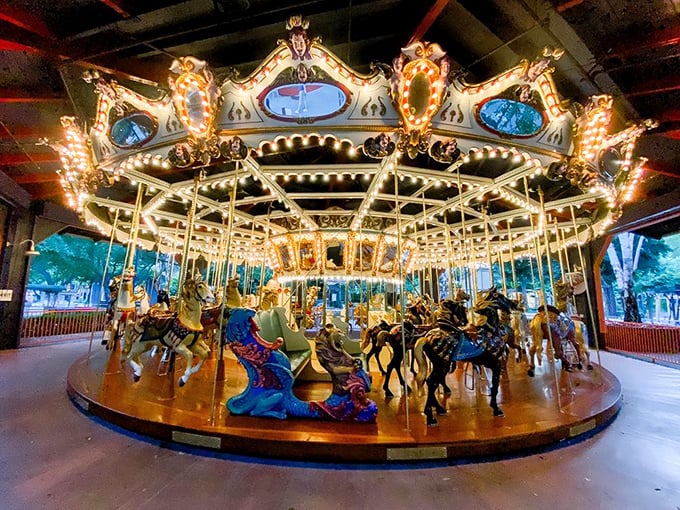 This isn't just any carousel—it's a time machine with hooves and poles, illuminated by lights that somehow make adults as giddy as their children.