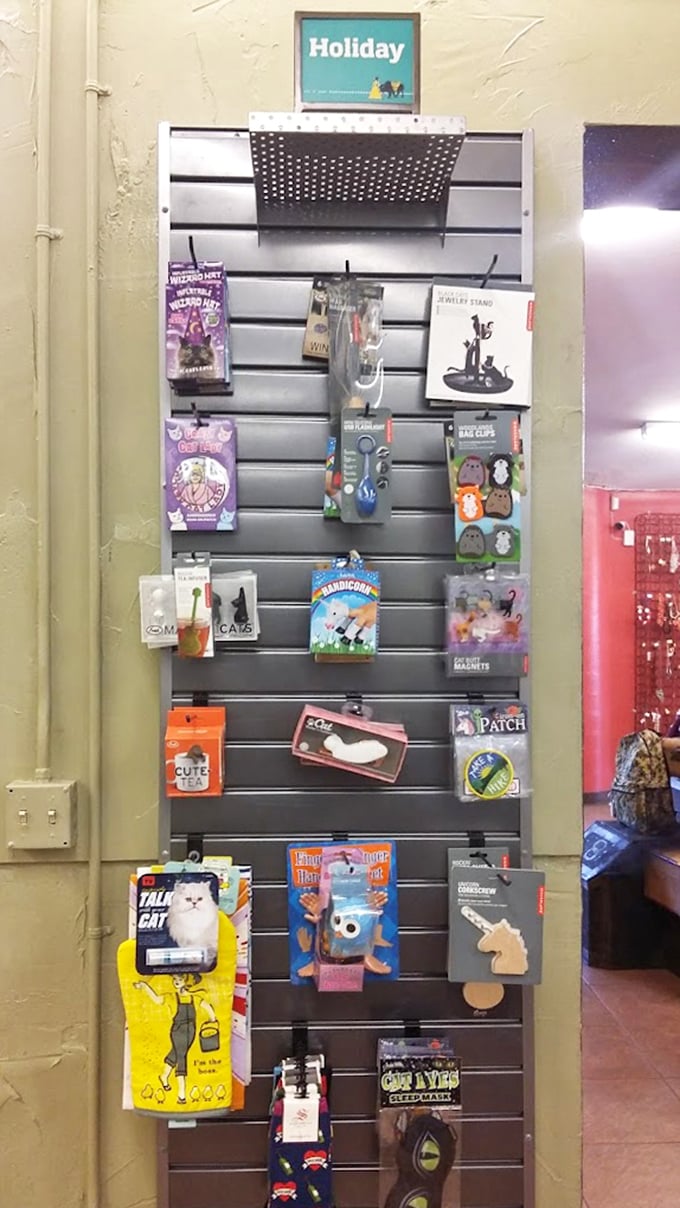 Who knew practical could be so playful? This wall of quirky accessories proves that adulting doesn't mean abandoning your inner child.