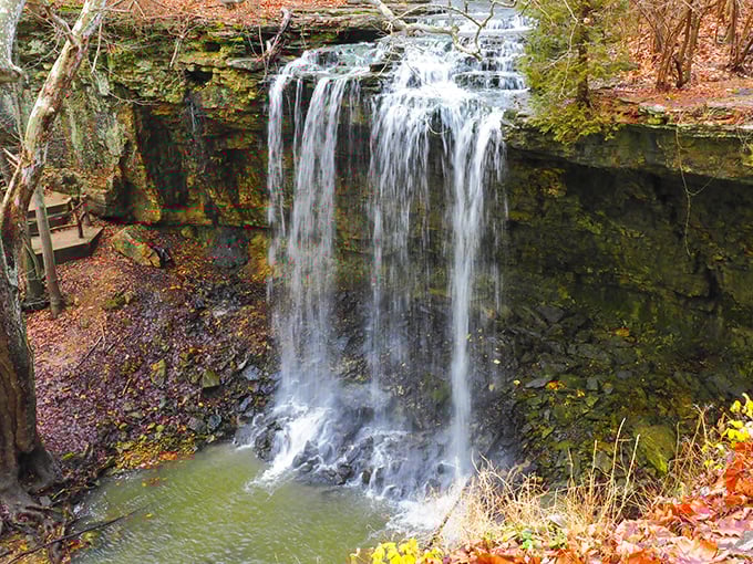 Nature's own masterpiece, Charleston Falls cascades dramatically over limestone ledges, creating a soundtrack of splashing water that no playlist can match.