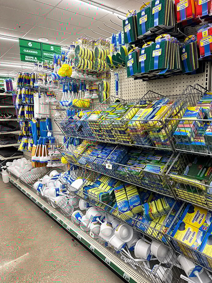 The cleaning supply motherlode! Like a rainbow of household problem-solvers, each promising to make your home sparkle without cleaning out your wallet.