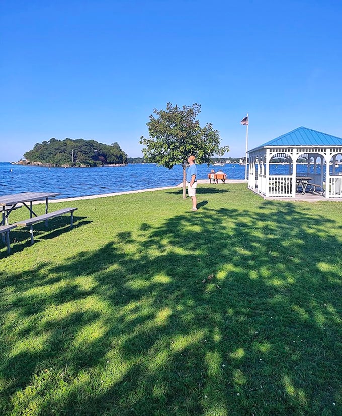 Summer perfection captured in a single frame. That impossibly blue sky makes even the simplest picnic feel like a five-star dining experience.