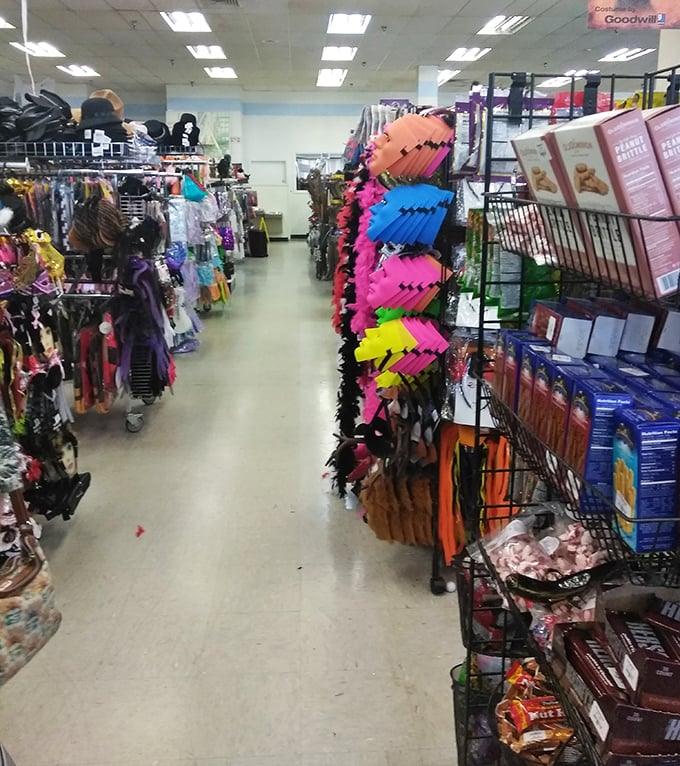 Halloween costumes and accessories await year-round – because in Florida, you never know when you'll need to become someone else.