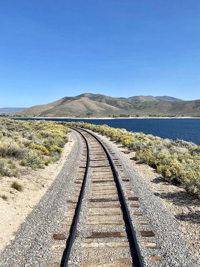 These rails cutting through sagebrush along Deer Creek Reservoir look like they're heading straight into a Bob Ross painting.