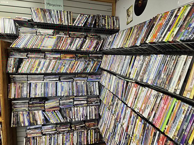 The DVD wall—a time capsule of entertainment history where forgotten blockbusters and cult classics sit shoulder to shoulder, patiently awaiting rediscovery.