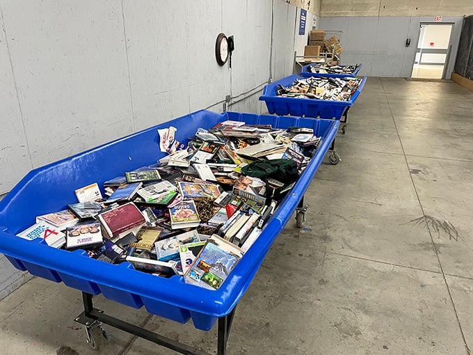 Literary gold mines await in these blue bins—bestsellers, forgotten classics, and that cookbook you didn't know you needed.