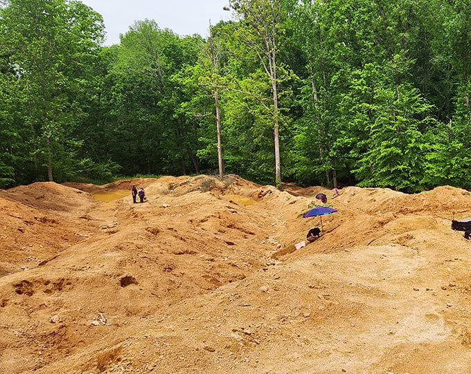 Adventure seekers find unexpected thrills at this sandy excavation site – who knew dirt could be this entertaining?
