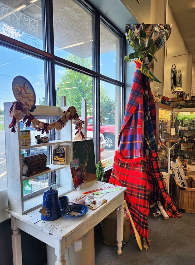 Plaid blankets and rustic displays by sunlit windows – like your coolest grandparent's cabin got reimagined as a shopping experience.