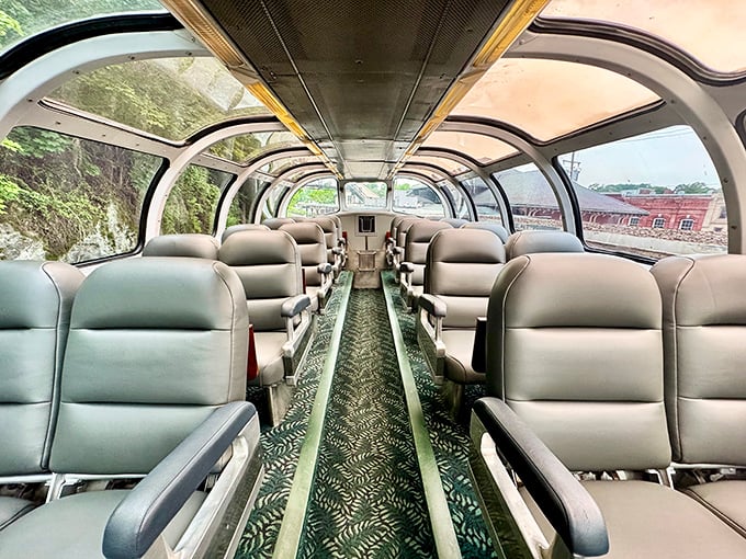 The dome car—where ceiling meets sky and every seat is the window seat your inner child always fought for on family road trips.