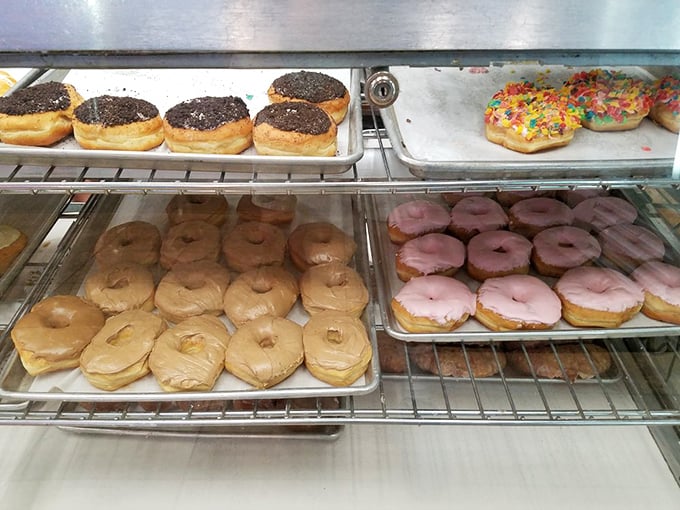 A rainbow of donuts lines the shelves—maple, chocolate, strawberry, and classic glazed—each one calling your name in a sweet whisper.